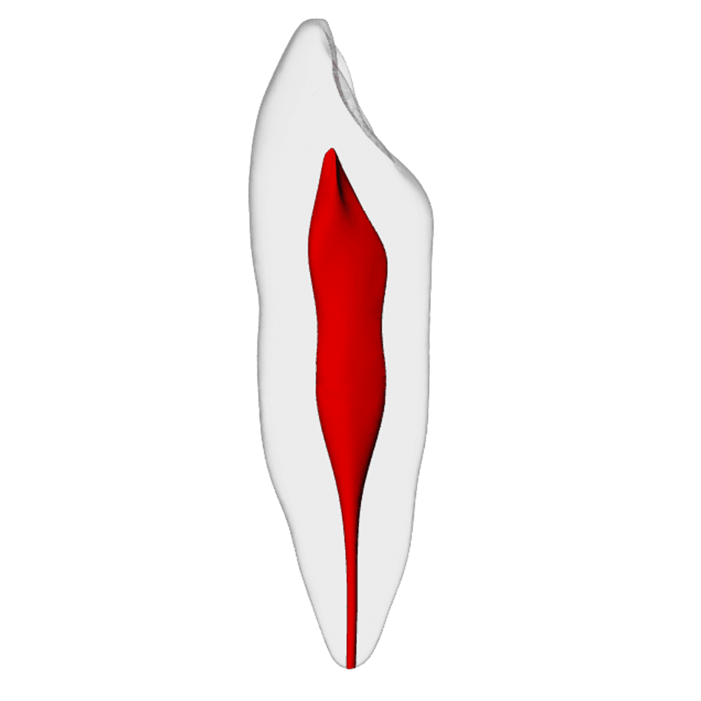 Endodontic Model | Dental Training Models | DRSK