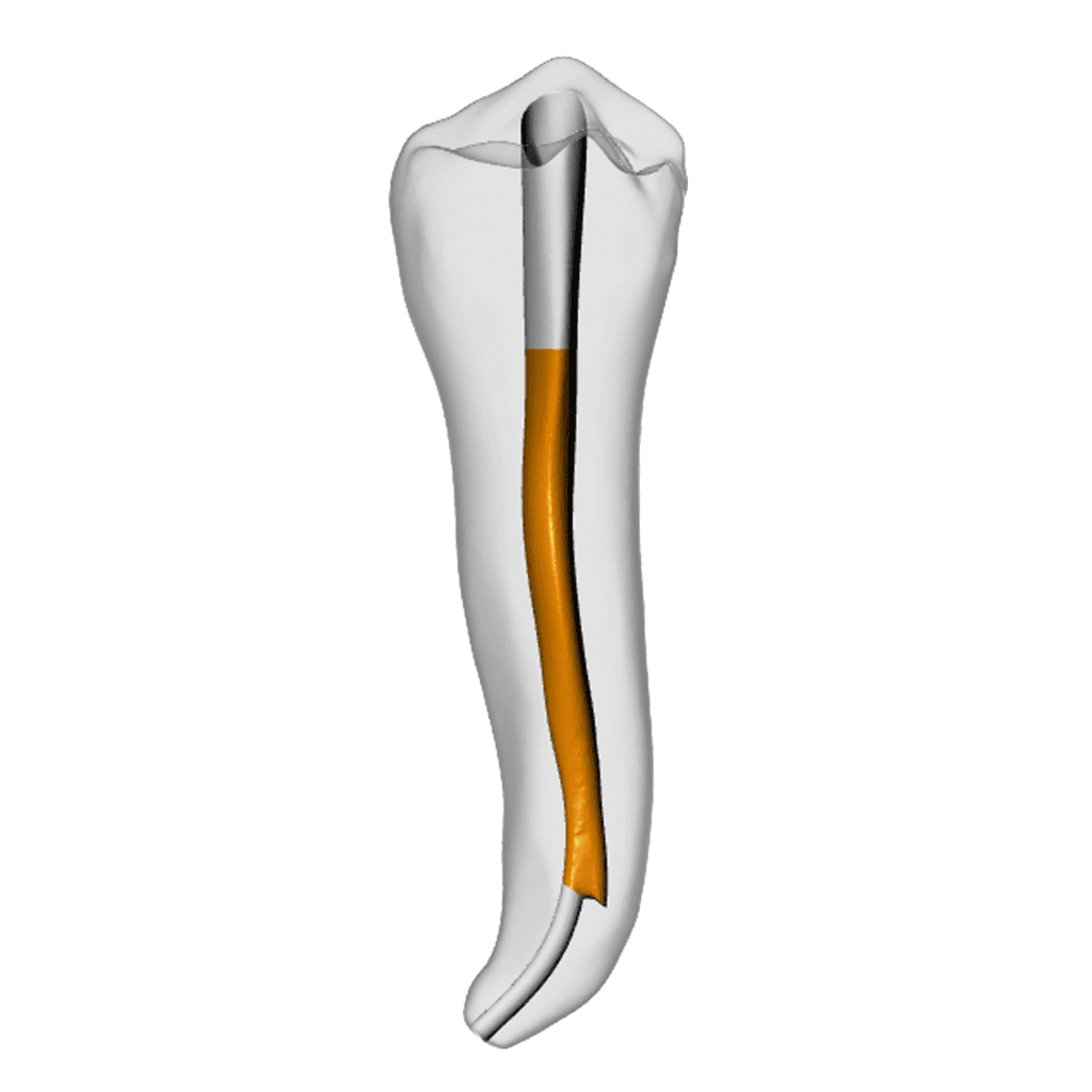 Endodontic Model | Dental Training Models | DRSK