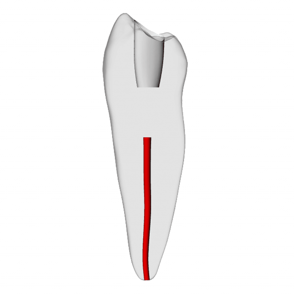 Endodontic Model | Dental Training Models | DRSK