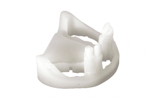 Modular Jaw Model | Dental Training Models | DRSK
