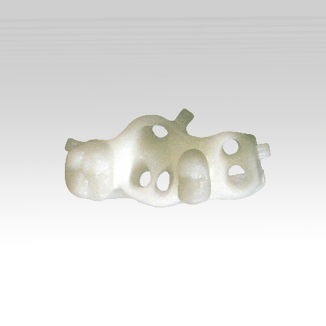Modular Jaw Model | Dental Training Models | DRSK