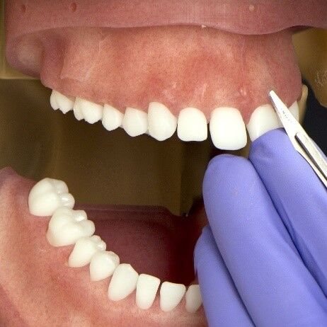Apicoectomy Model | Dental Training Models | DRSK