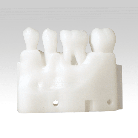 Periodontal Model | Dental Training Models | DRSK